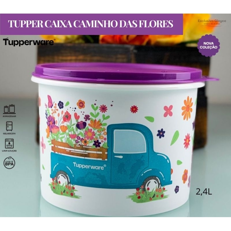 Pote Tupperware / Modelos e tamanhos diversos- Tupper Caixa Tupperware ...