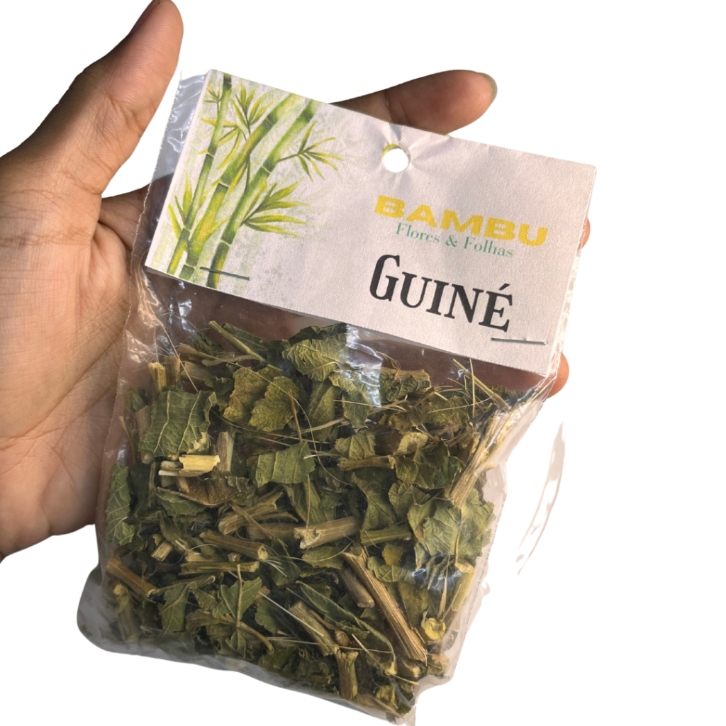 Guiné Erva Para Banho Proteção E Descarrego | Shopee Brasil