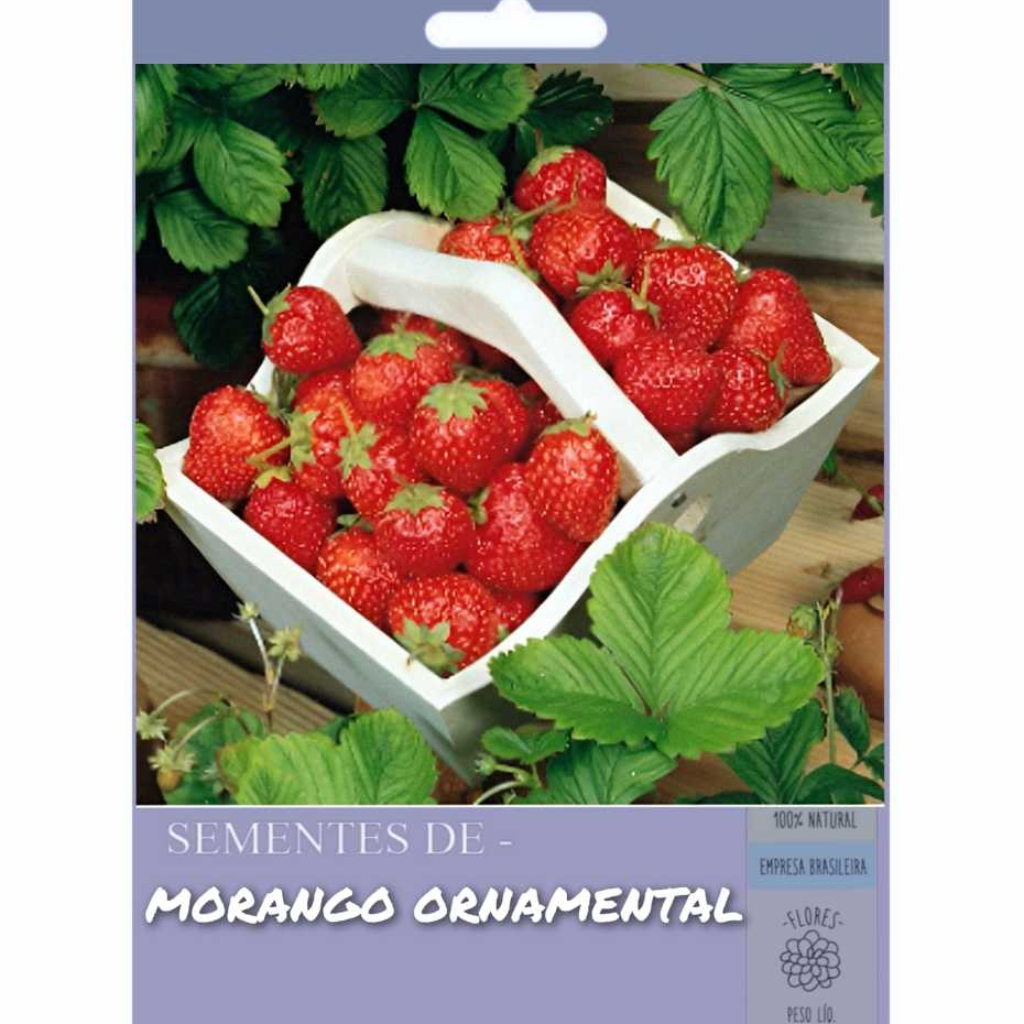Sementes de Morango Ornamental | Shopee Brasil