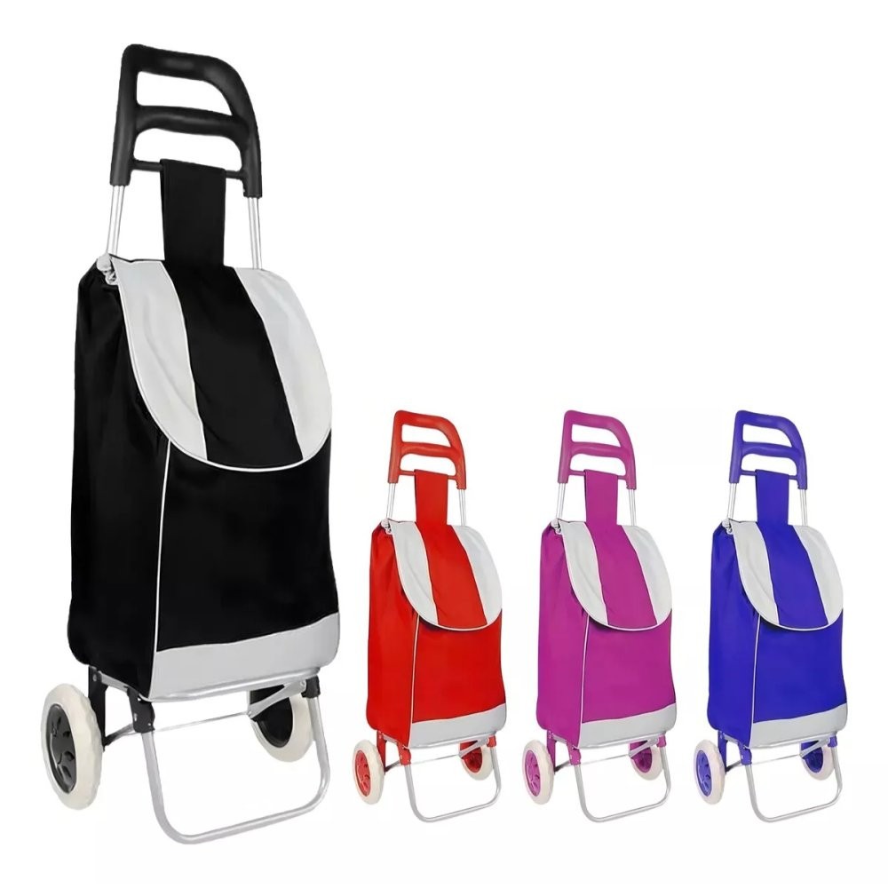 01 Carrinho de Carga 2 Rodas Sortido - 30Kg | Shopee Brasil