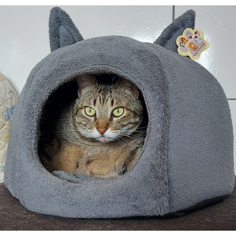 Cama Pet toca do Gato, iglu com almofada removível e lavável , várias ...