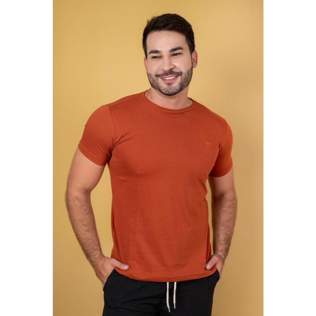 Camisa Lisa Masculina ,Tshirt basica ALGODÃO,manga curta Slim | Shopee ...