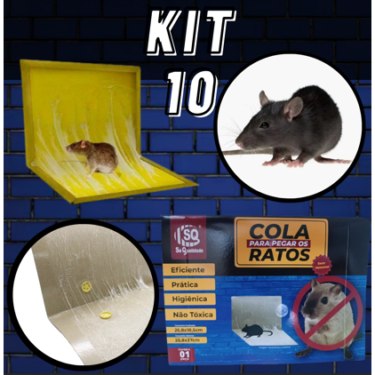 Kit 10 Cola Rato Adesivo Pega Insetos Kit 10 Armadilha Adesiva | Shopee ...