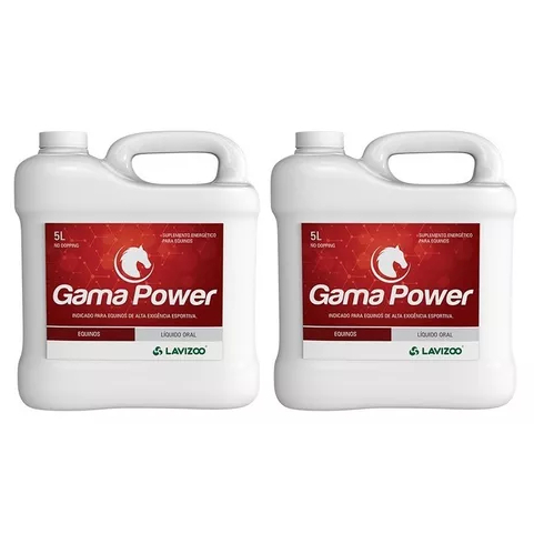 GAMA POWER - 5 L KIT C/2 UND - LAVIZOO | Shopee Brasil