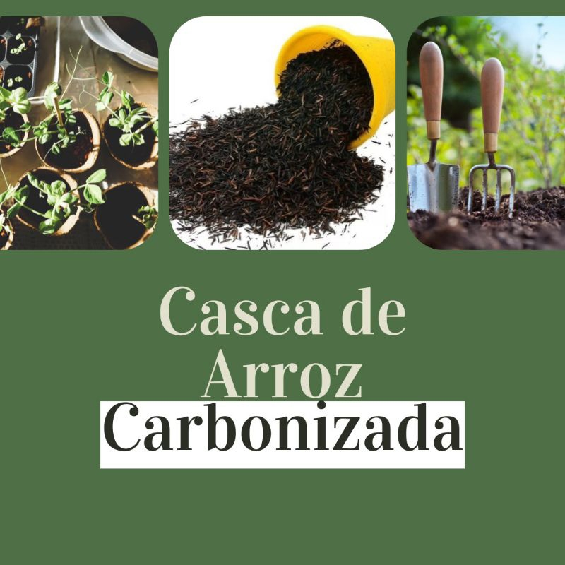Casca de Arroz Carbonizada 50 litros Substrato Orgânico Plantas Lindas ...