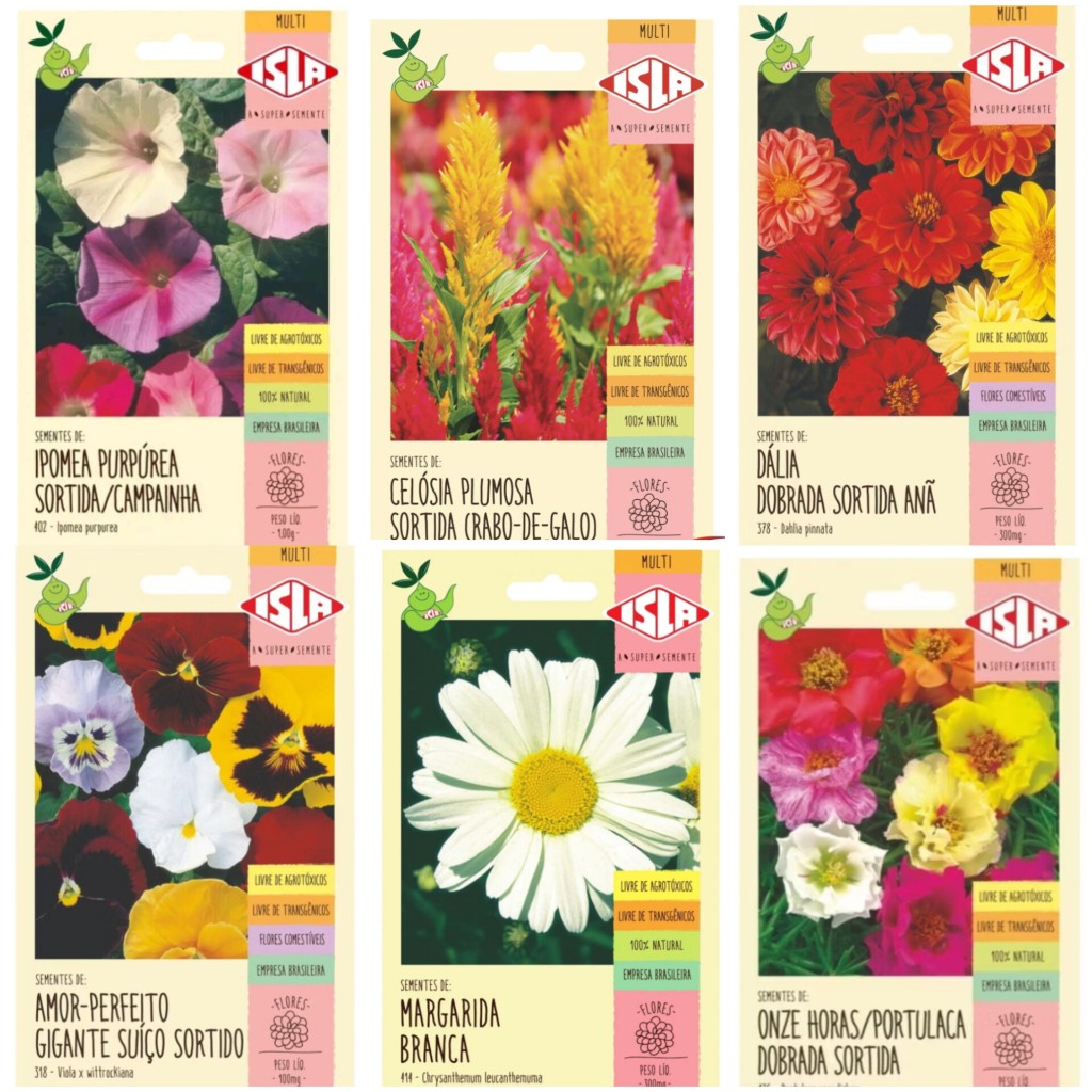 FLORES kit com 6 pacotes de sementes variadas | Shopee Brasil