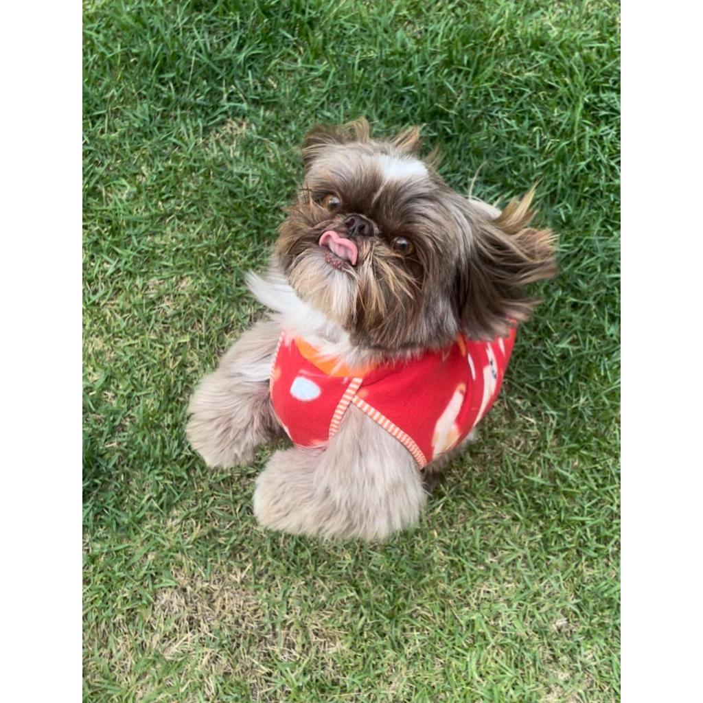 Roupinha Pet Soft para cães/Roupa de inverno/Cães e Gatos/do n0 ao n18 ...
