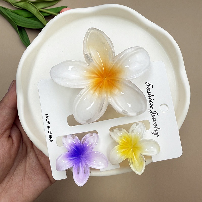 Kit com 3 Piranha De Flor Garra Para Cabelo Grampo De Flor Praia ...