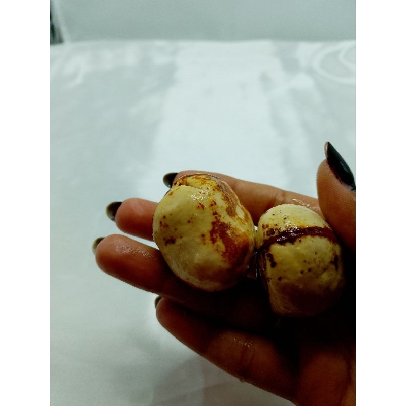 OBI NACIONAL UMBANDA/ CANDOMBLÉ | Shopee Brasil