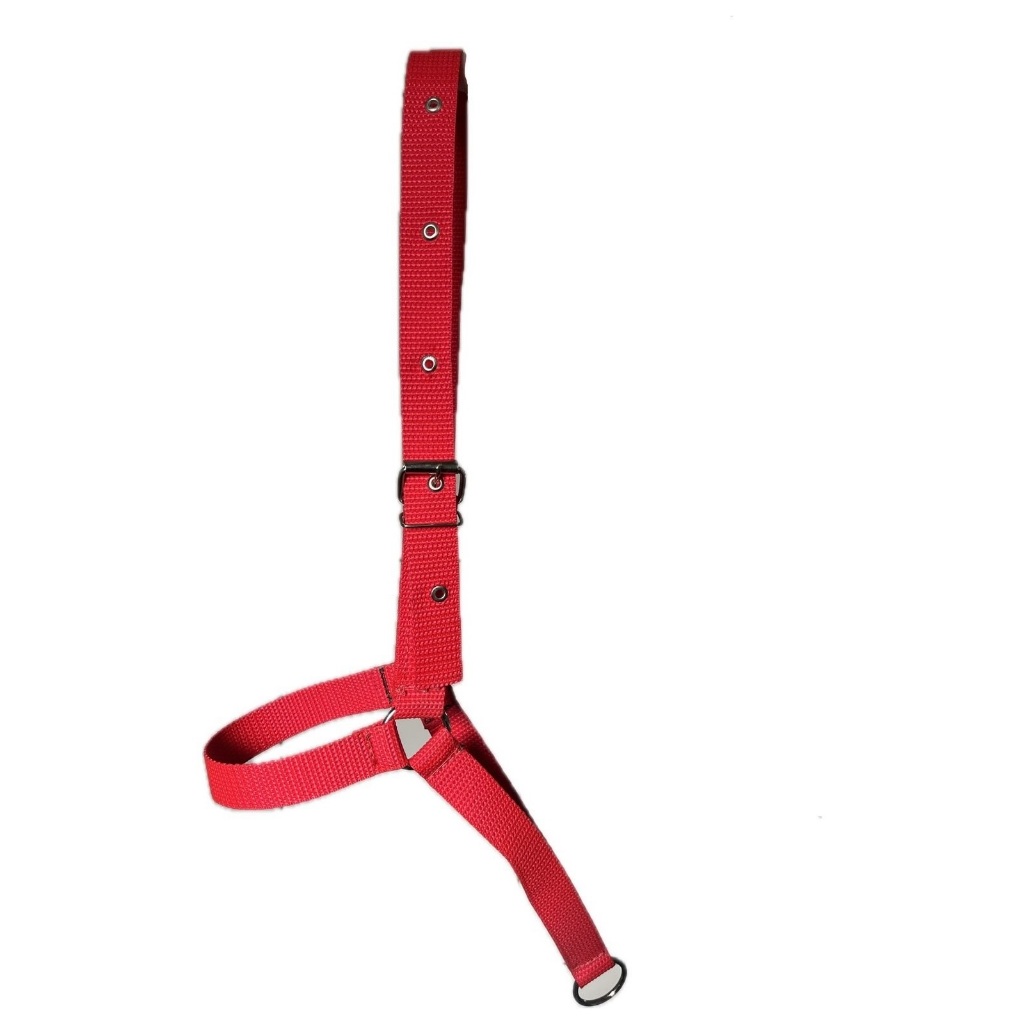 Cabresto Regulável Em Fita Para Vacas E Bois Resistente Oferta ...