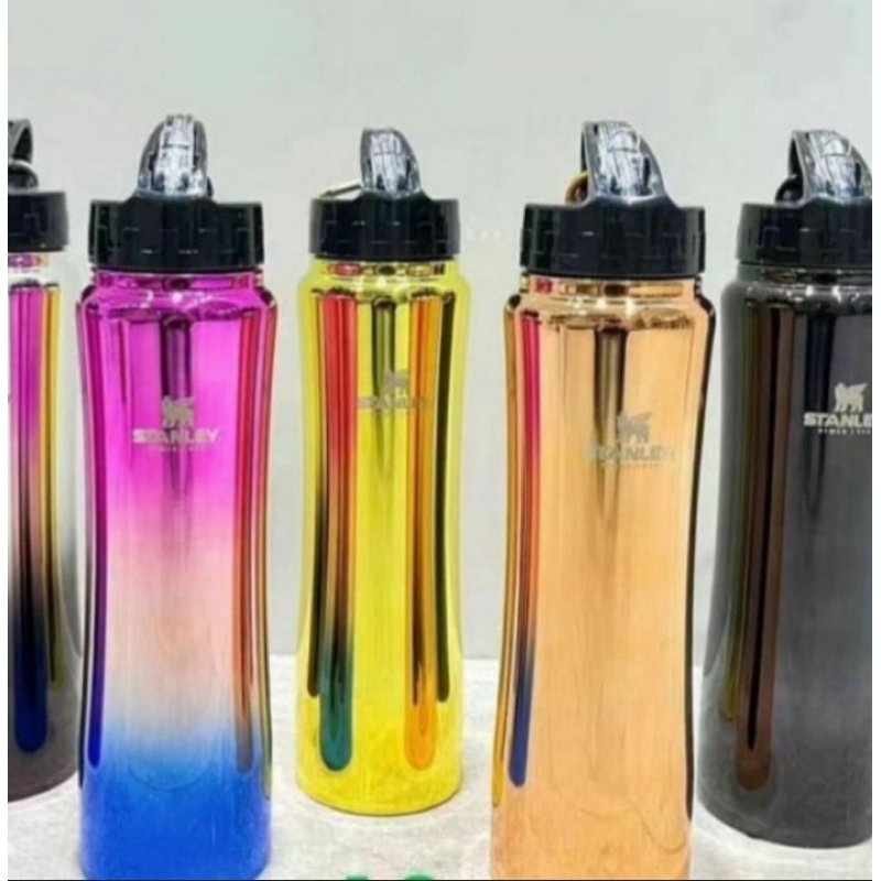 Garrafa Térmica Esportiva Staley 500ml – Conserva Gelado, Resistente e ...