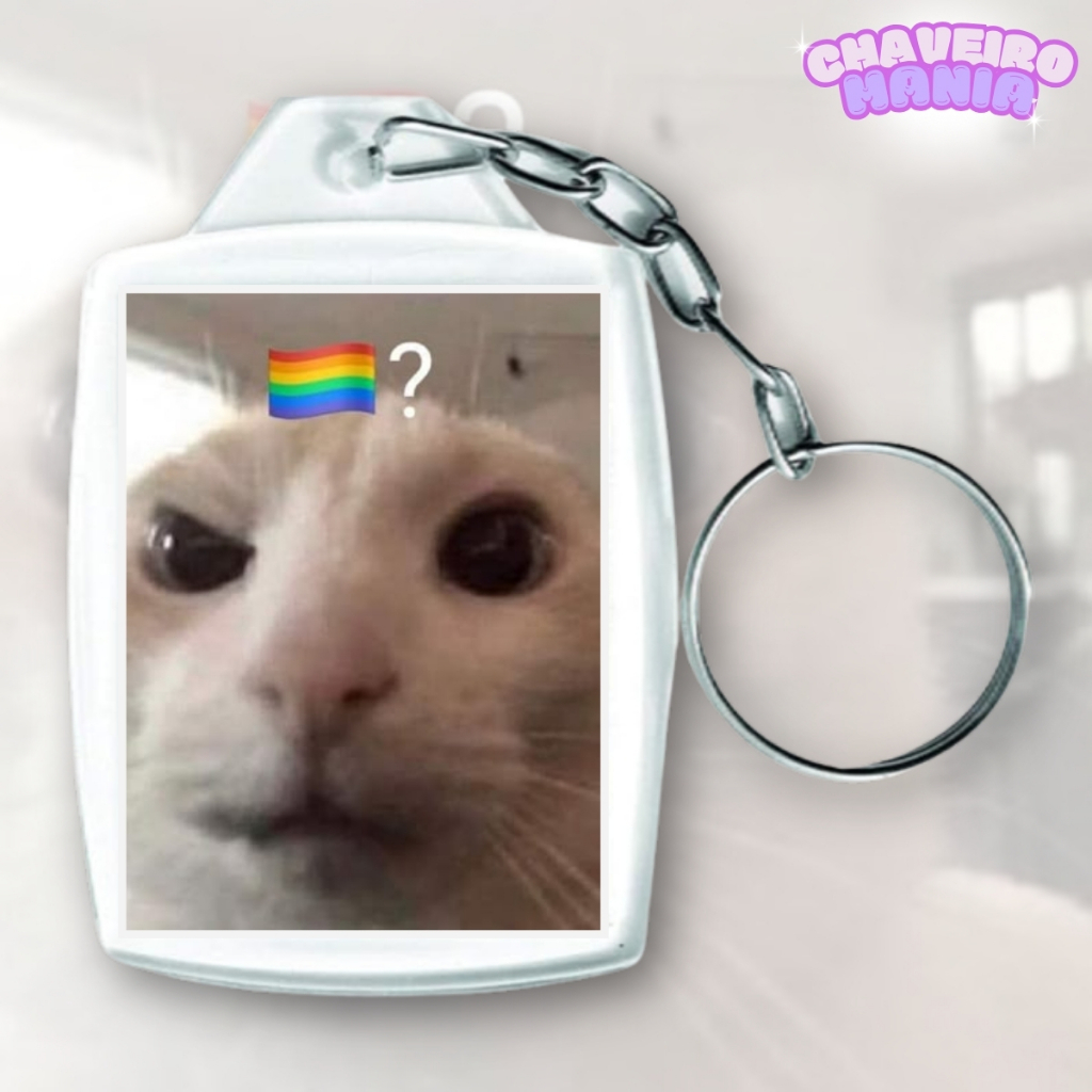 Chaveiro meme gato LGBT - Frente e verso, 3x4cm, impressão HD. | Shopee ...