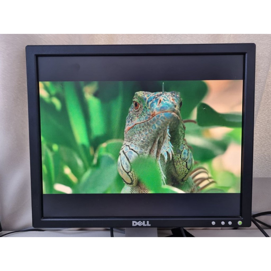 Monitor Dell E177FPc 17” | Usado | Funcionando | Com Cabos | Sem ...