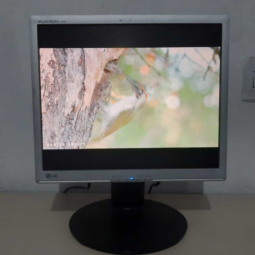 Monitor 17 Polegadas LG Flatron LCD L1742P Quadrado | Shopee Brasil