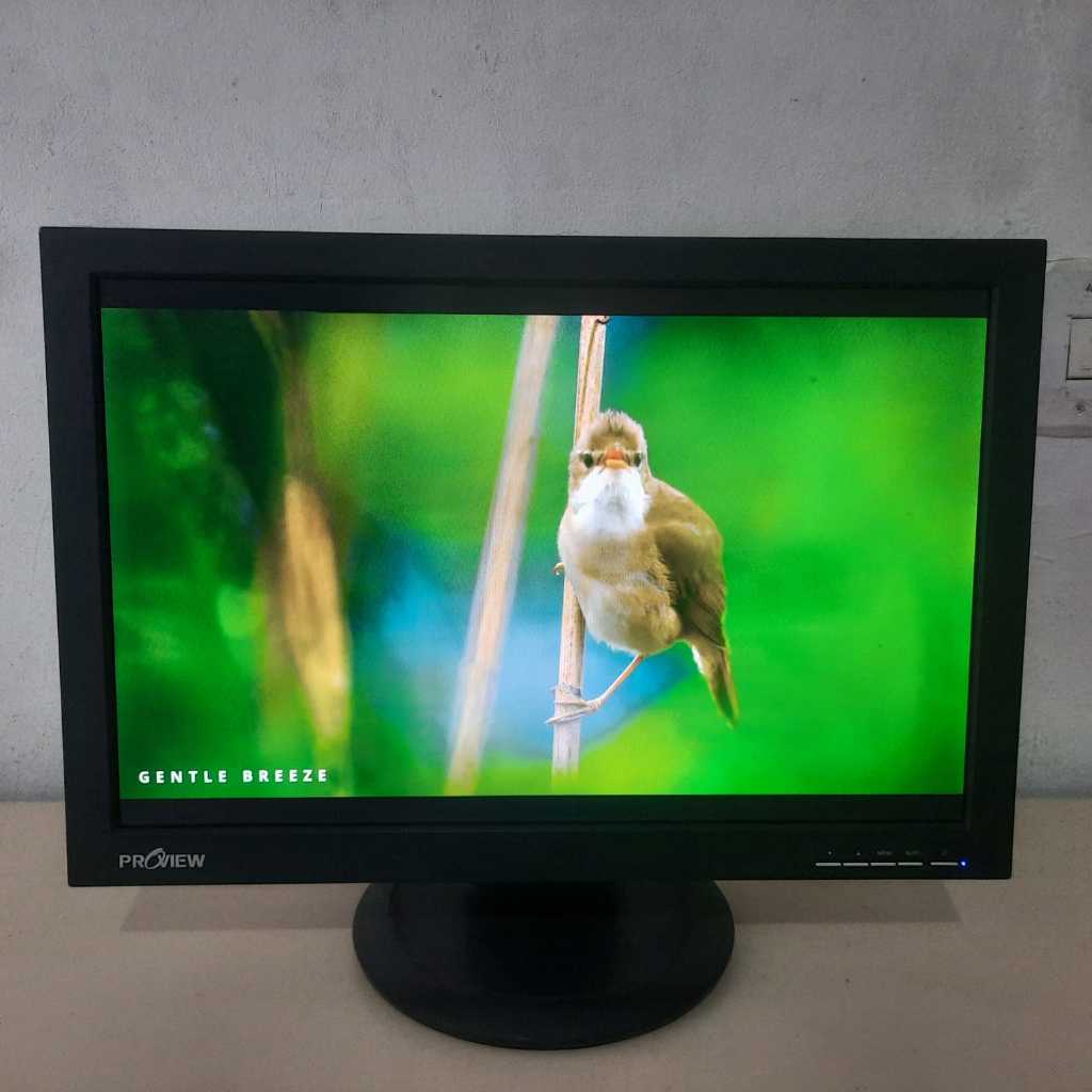 Monitor 19 Polegadas Proview Cristal liquido Xp 911aw Lcd Widescreen ...