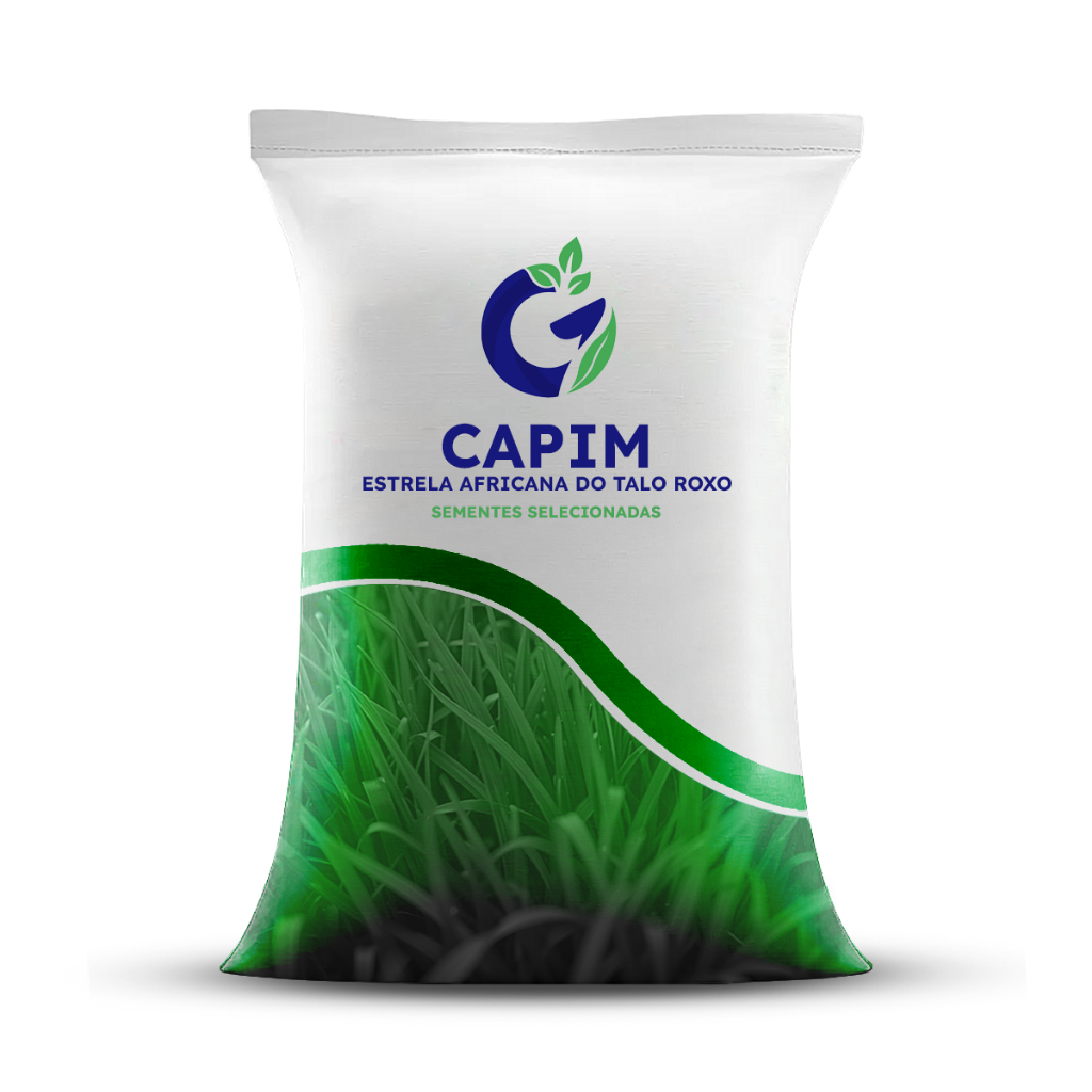20 Kg De Sementes De Capim Estrela Africana Do Talo Roxo | Shopee Brasil