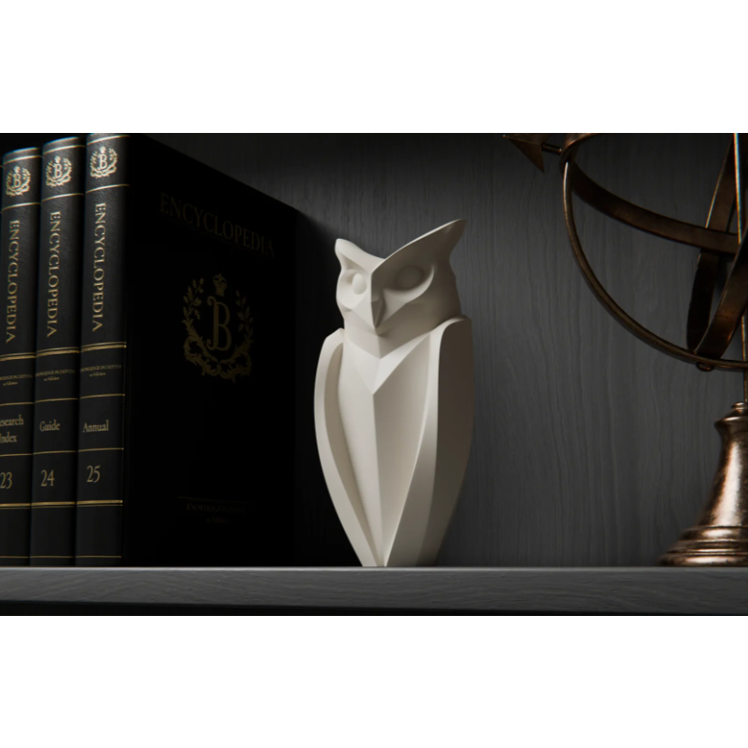 Coruja decorativa 3d Simbolo da sabedoria | Shopee Brasil