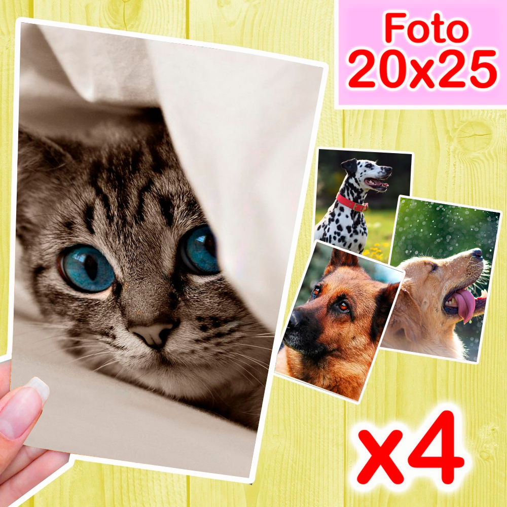 Revelar Fotos 20X25 (4 Unidades) | Shopee Brasil