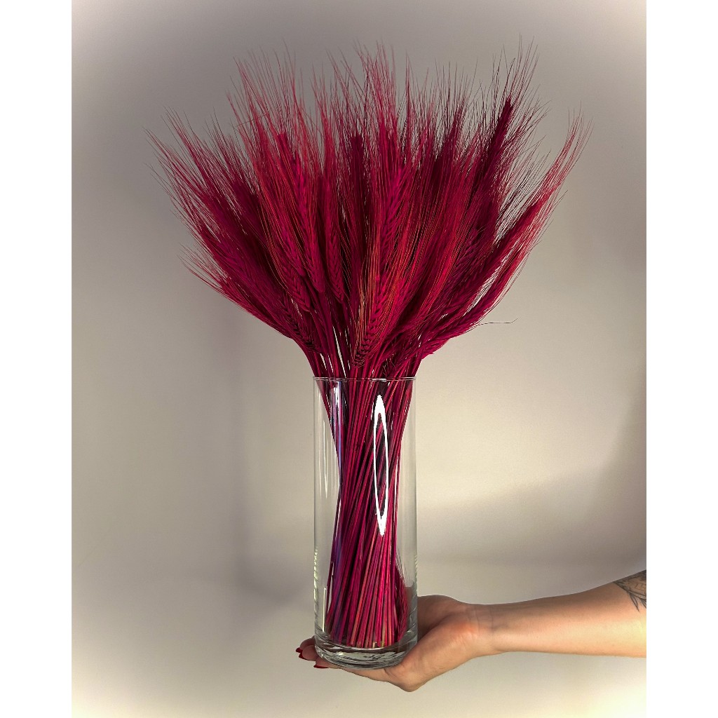 Arranjo Trigo Vaso Vidro + Trigo Desidratado Várias Cores | Shopee Brasil