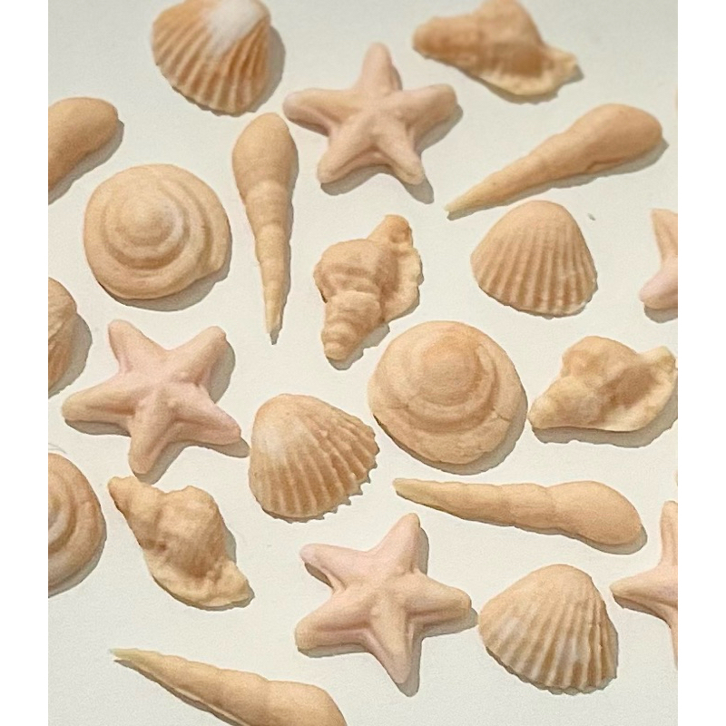 Apliques cosmetíveis de Pasta Americana Mini conchas e estrelas do Mar ...