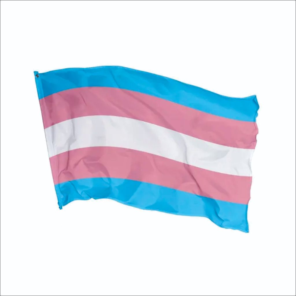 Bandeira orgulho Transgenero 1,40 x 1,00 | Shopee Brasil