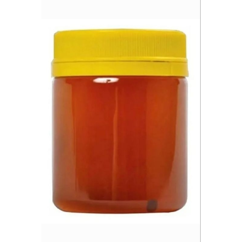 Mel Florada Silvestre 1kg direto do produtor-mel puro - mel de abelha ...