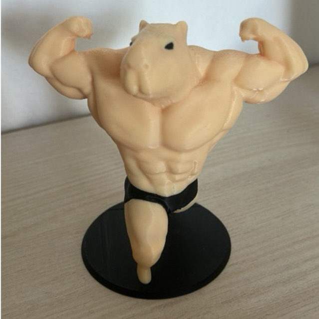 Capivara bombada maromba 3D | Shopee Brasil