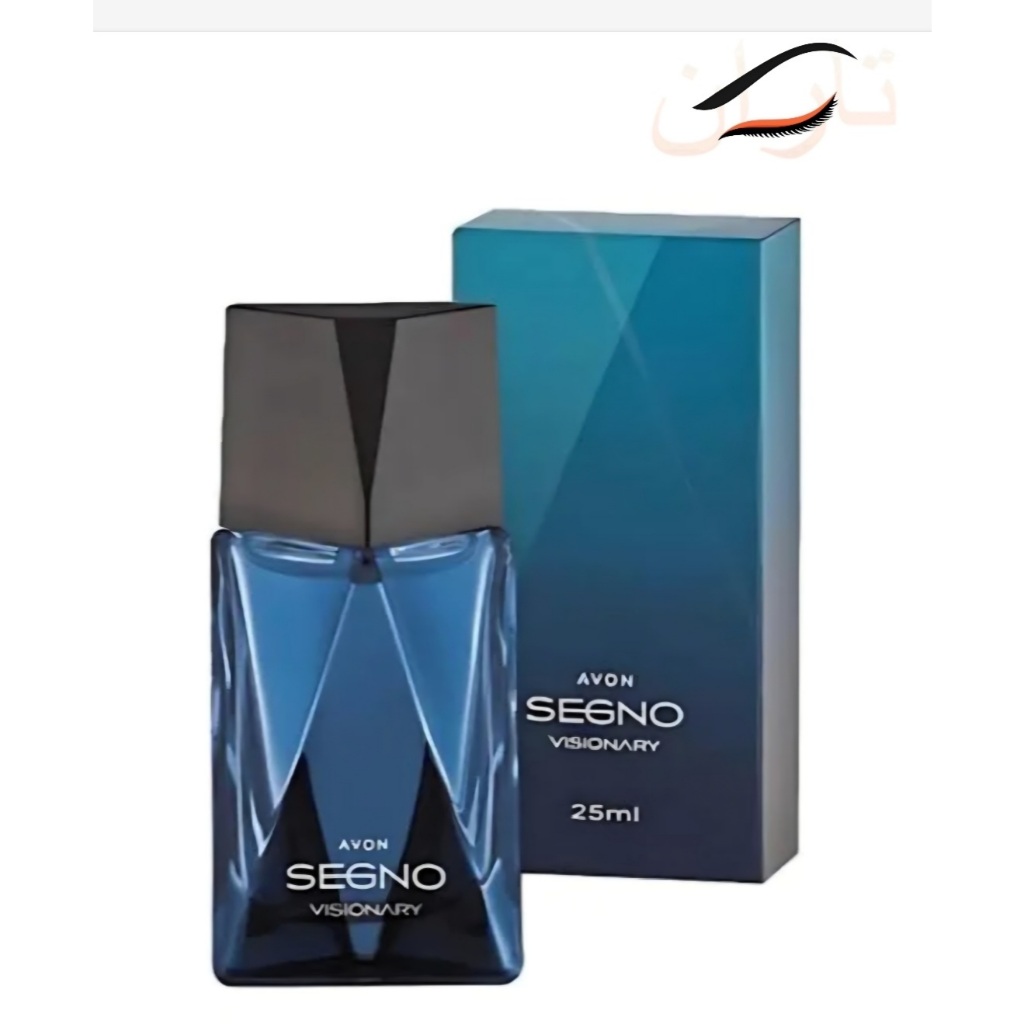 Perfume Eau de Parfum Segno Visionary 100ml | Shopee Brasil