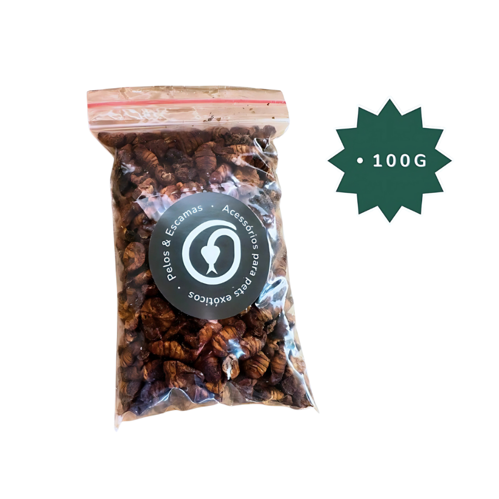 Crisálida Desidratada Seca (Bicho-da-Seda) 100g | Shopee Brasil