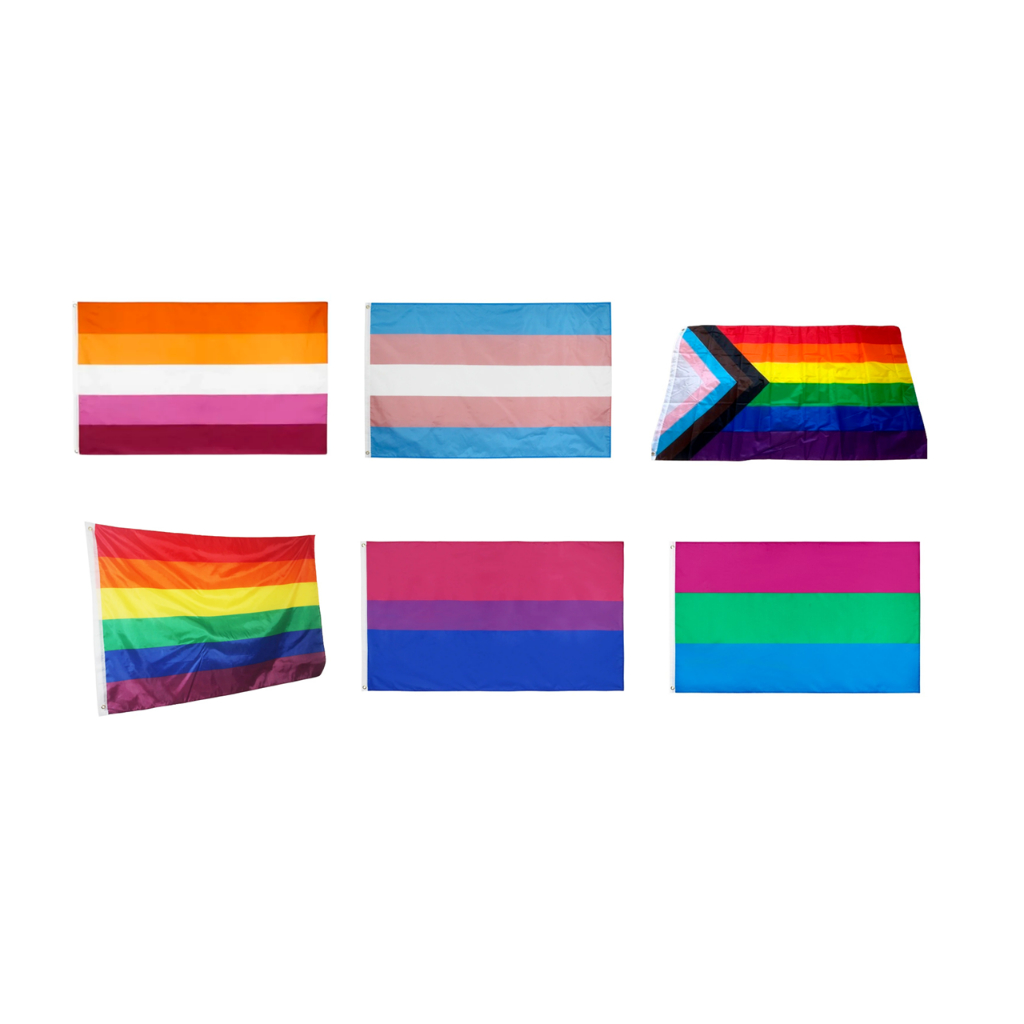 Bandeiras Lgbt + Poli + Bi + Pride 90x150cm P/escolher | Shopee Brasil