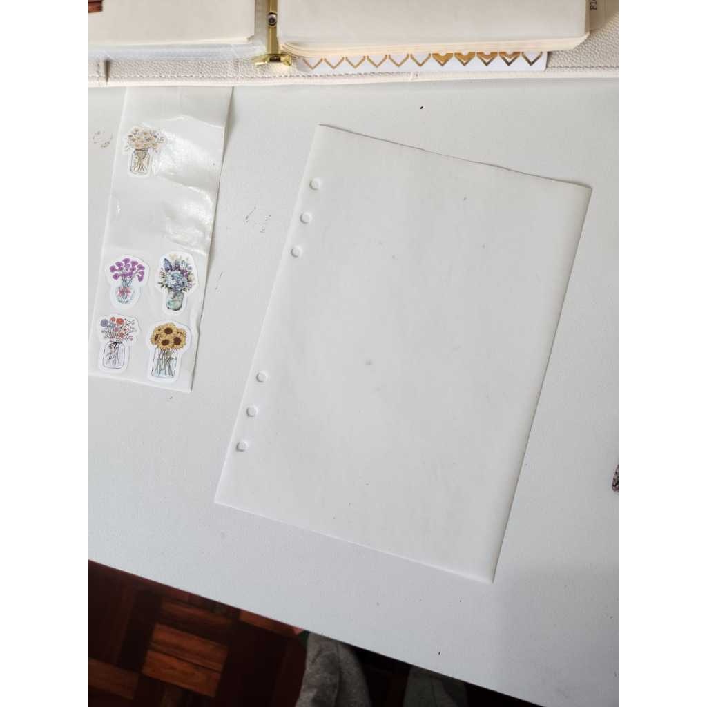 Papel LINER A5 ARGOLADO com 50 folhas frente e verso | Cola e descola ...