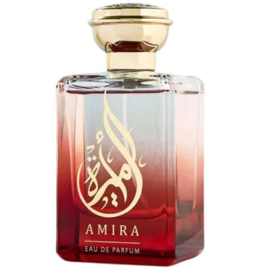 Perfume New Brand Oriental Amira For Women Eau de Parfum 100ml - Sem ...