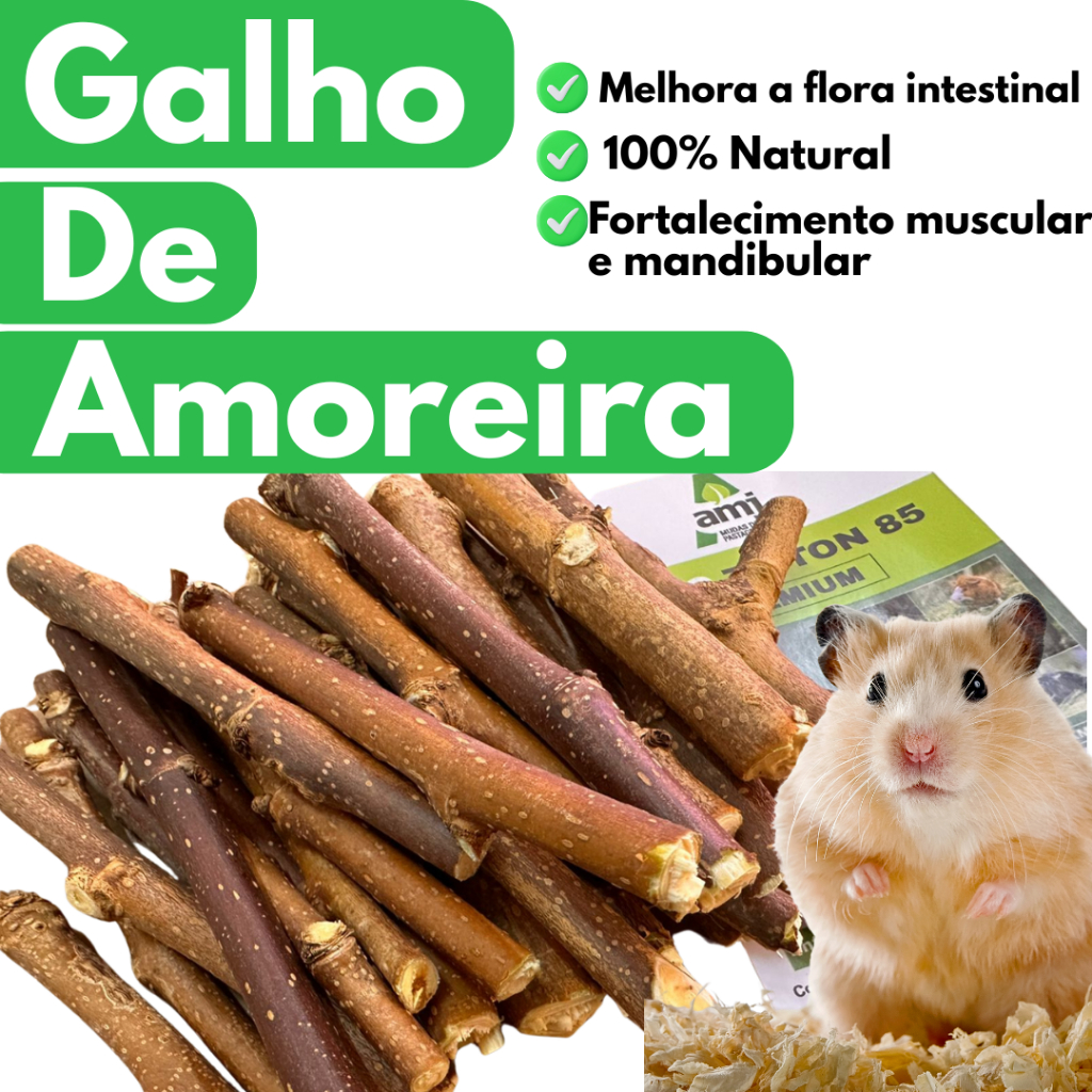 Galhos de Amora Natural para Aves e Roedores como Coelho Hamster Chinchila - Orgânico (Amoreira ...