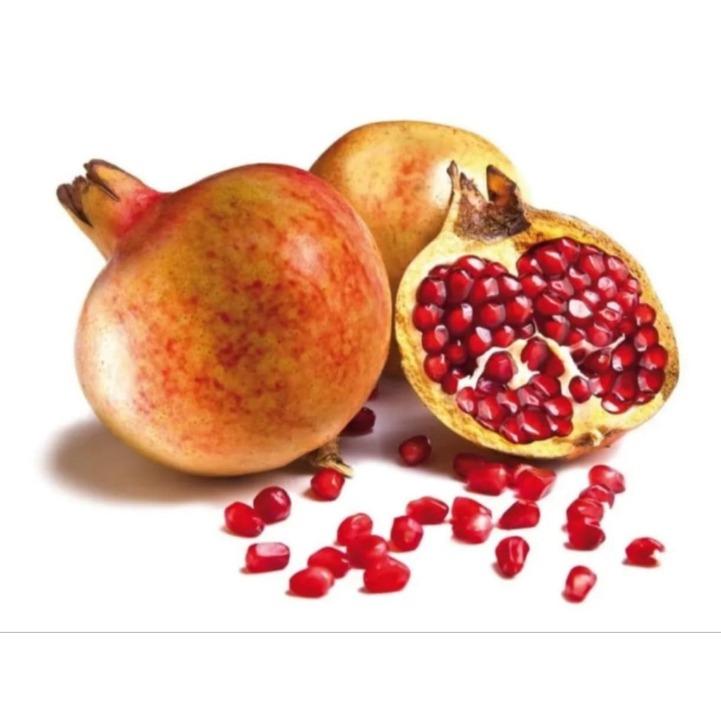 muda de roma 50cm planta frutifera de sol ideal para vasos ou jardim | Shopee Brasil