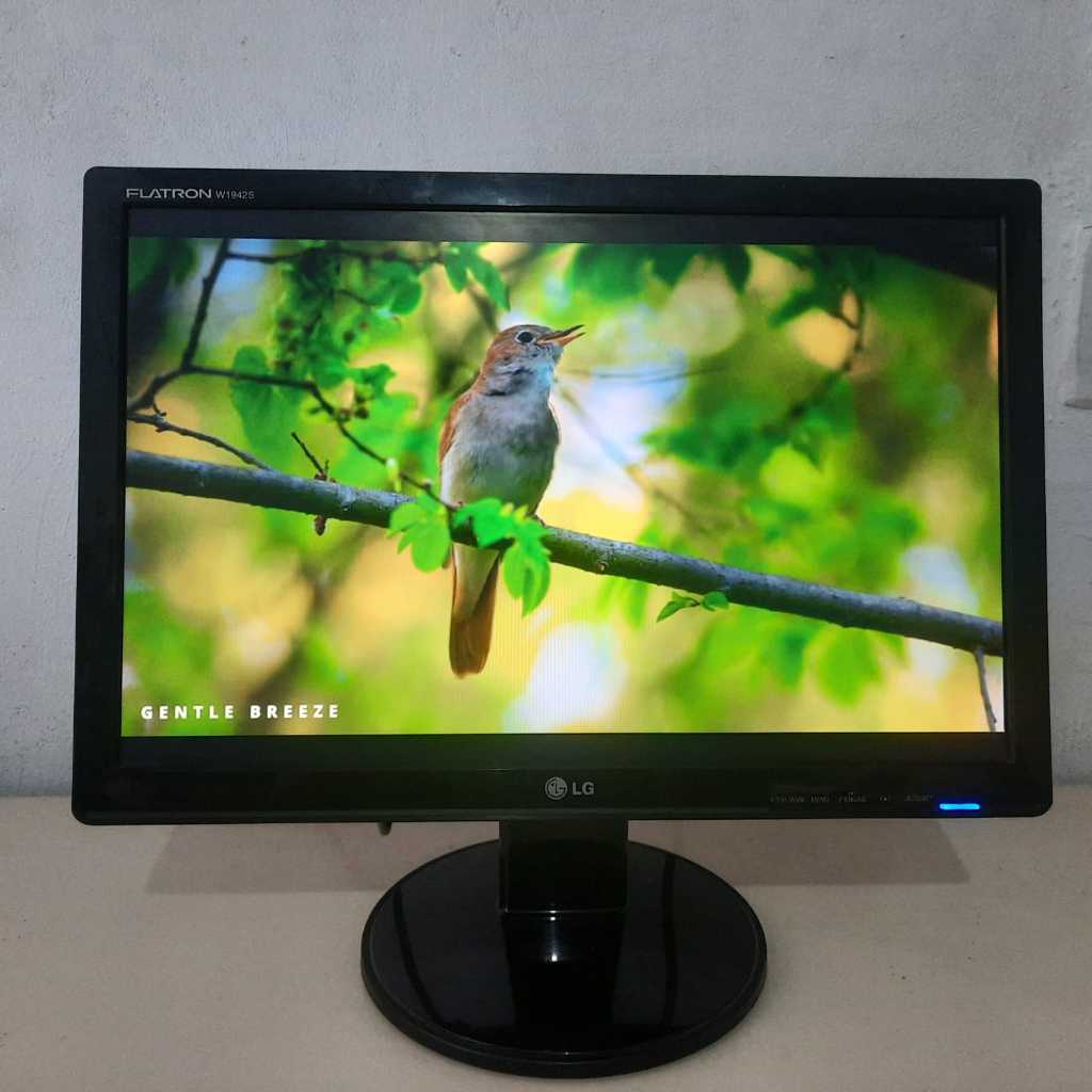 Monitor 19 Polegadas LG Flatron LCD W1942S-Pf Widescreen | Shopee Brasil