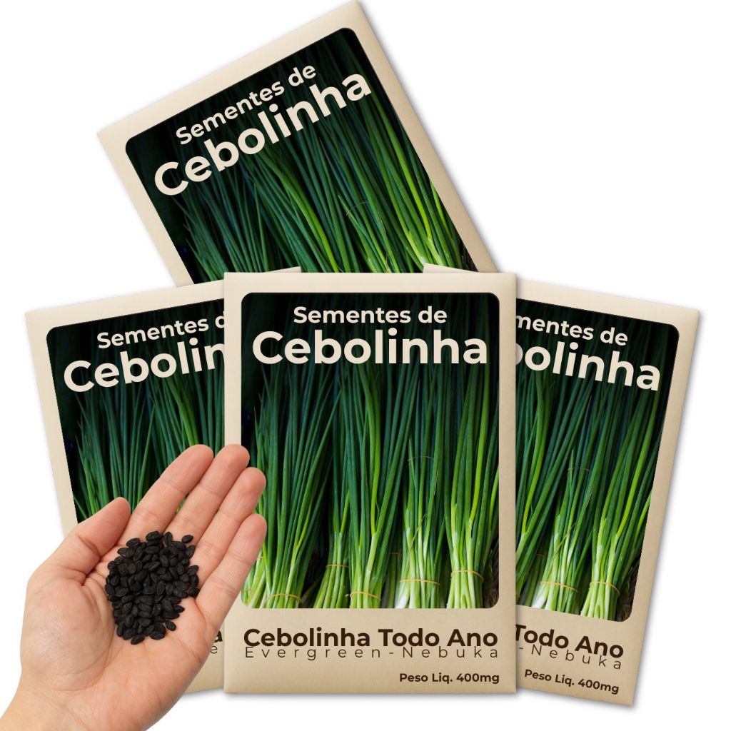 Semente de Cebolinha Nebuka Para Plantar em Qualquer Época Kit 4 ...