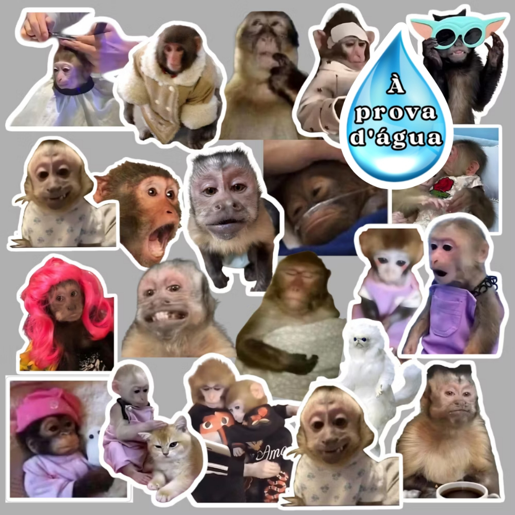 Macacos meme adesivos impermeavél 21 stickers | Shopee Brasil