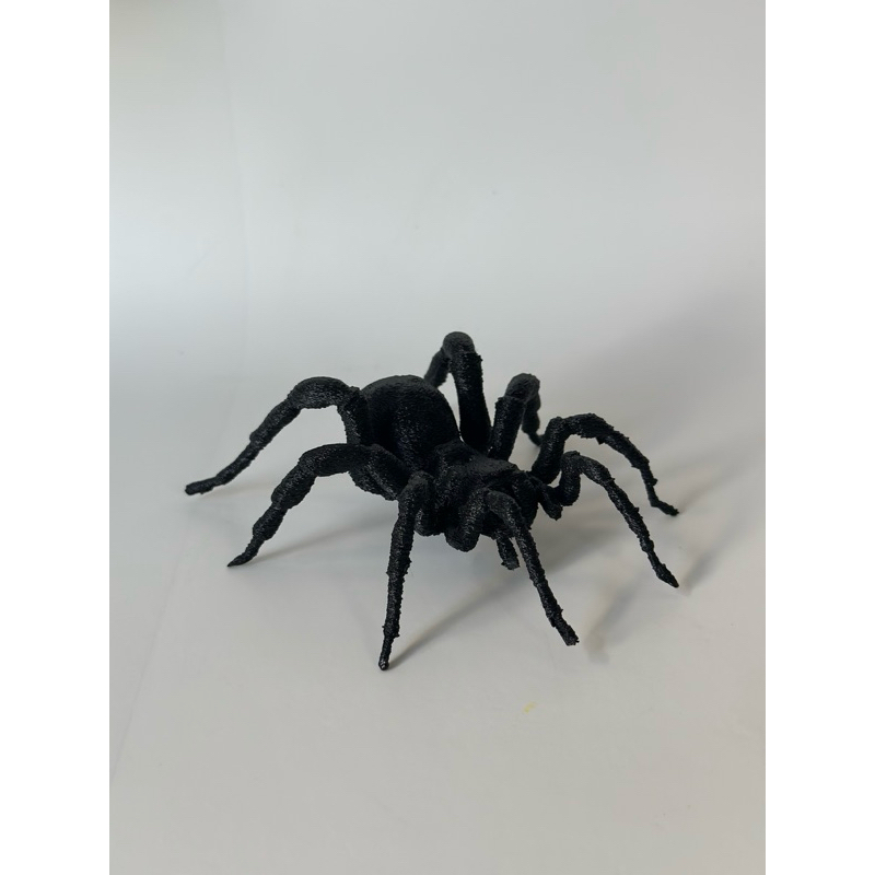 Aranha , Tarantula- Caranguejeira | Shopee Brasil