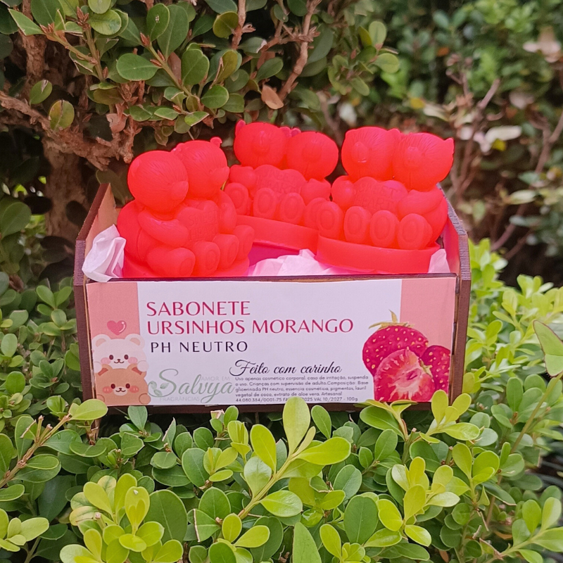 Caixotinho Sabonete Morango 90g - SALVIA | Shopee Brasil