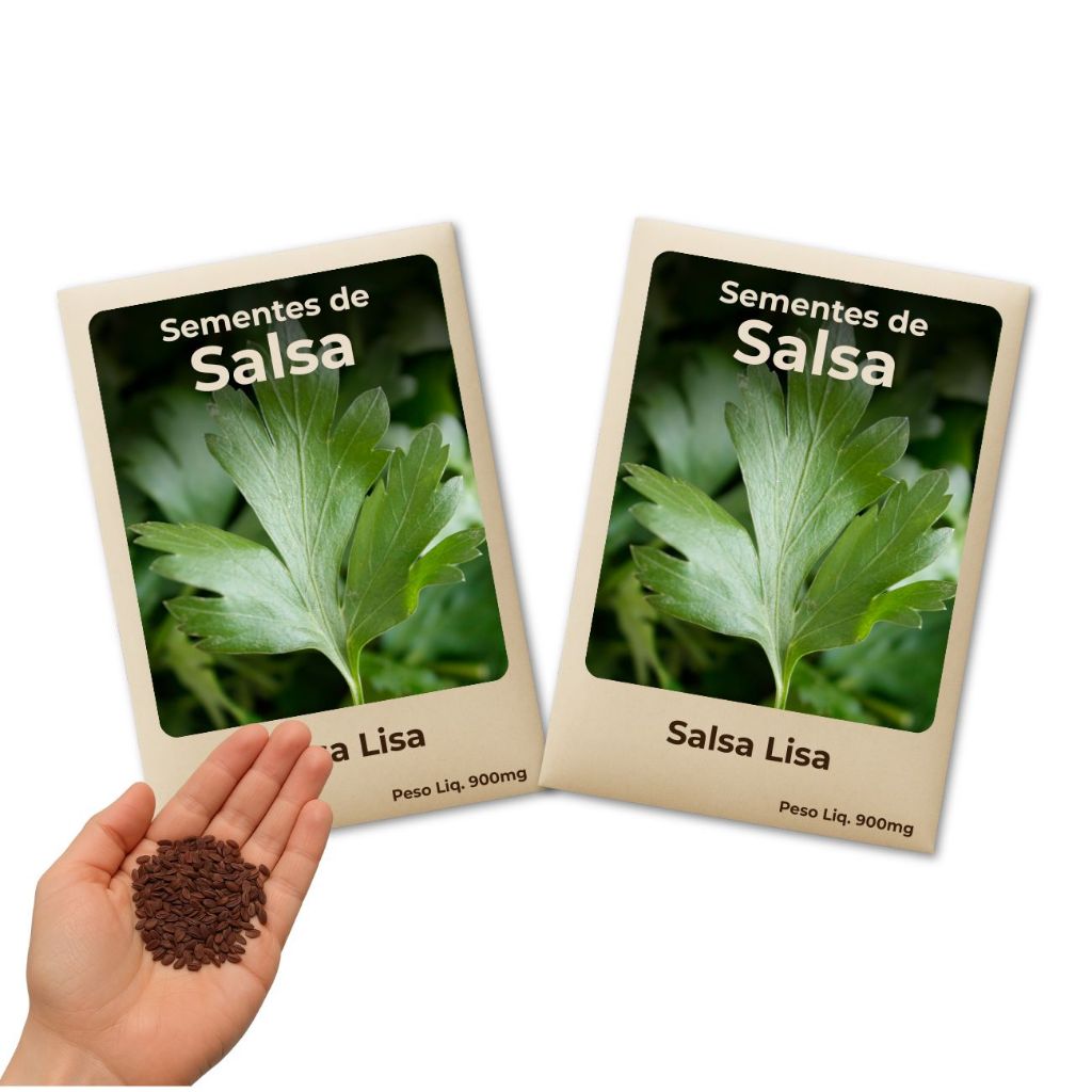 Semente de Salsa Lisa com Plantio Fácil e Colheita Rápida - Combo 2 ...