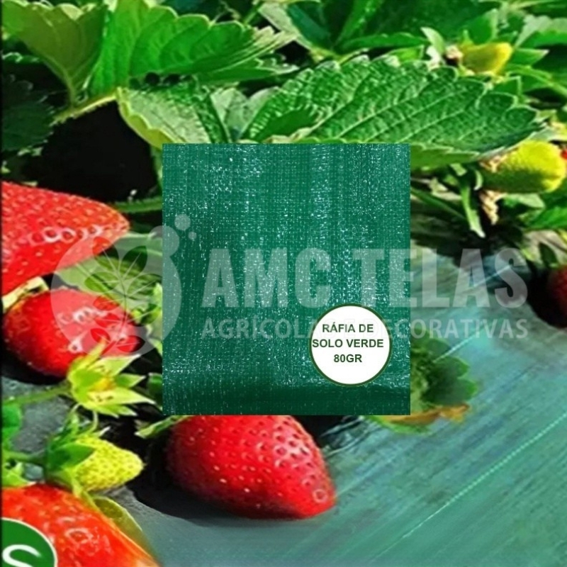 Rafia de Solo Verde 80gr 1,50 largura (BASE IDEAL PARA BARRACA ...