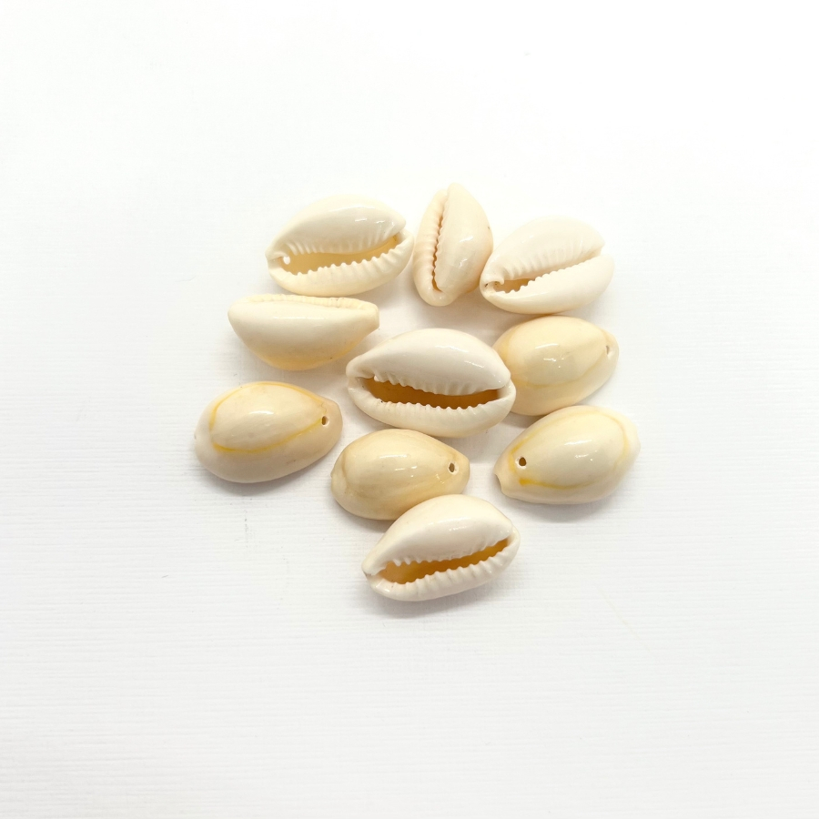 Búzios Naturais com Furo - Pacote com 10 Unidades para Artesanato ...