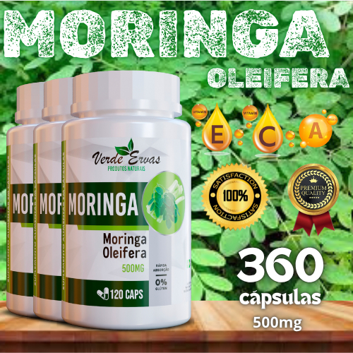 Moringa Oleífera Premium 100% Original – Suplemento Alimentar Natural ...