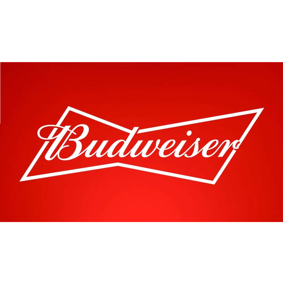 Cerveja Budweiser Latão 473ml | Pack com 6 Unidades | Puro Malte Americano | Refrescante e ...
