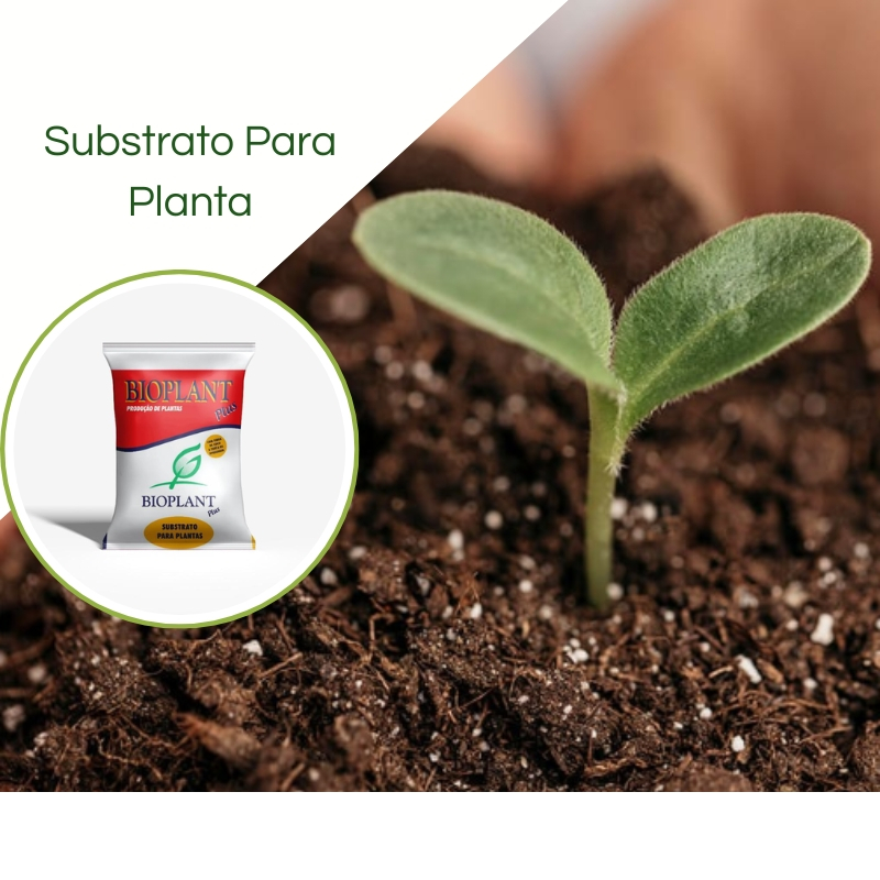 Bioplant Plus Substrato a Base de Casca de Pinus 40L | Shopee Brasil
