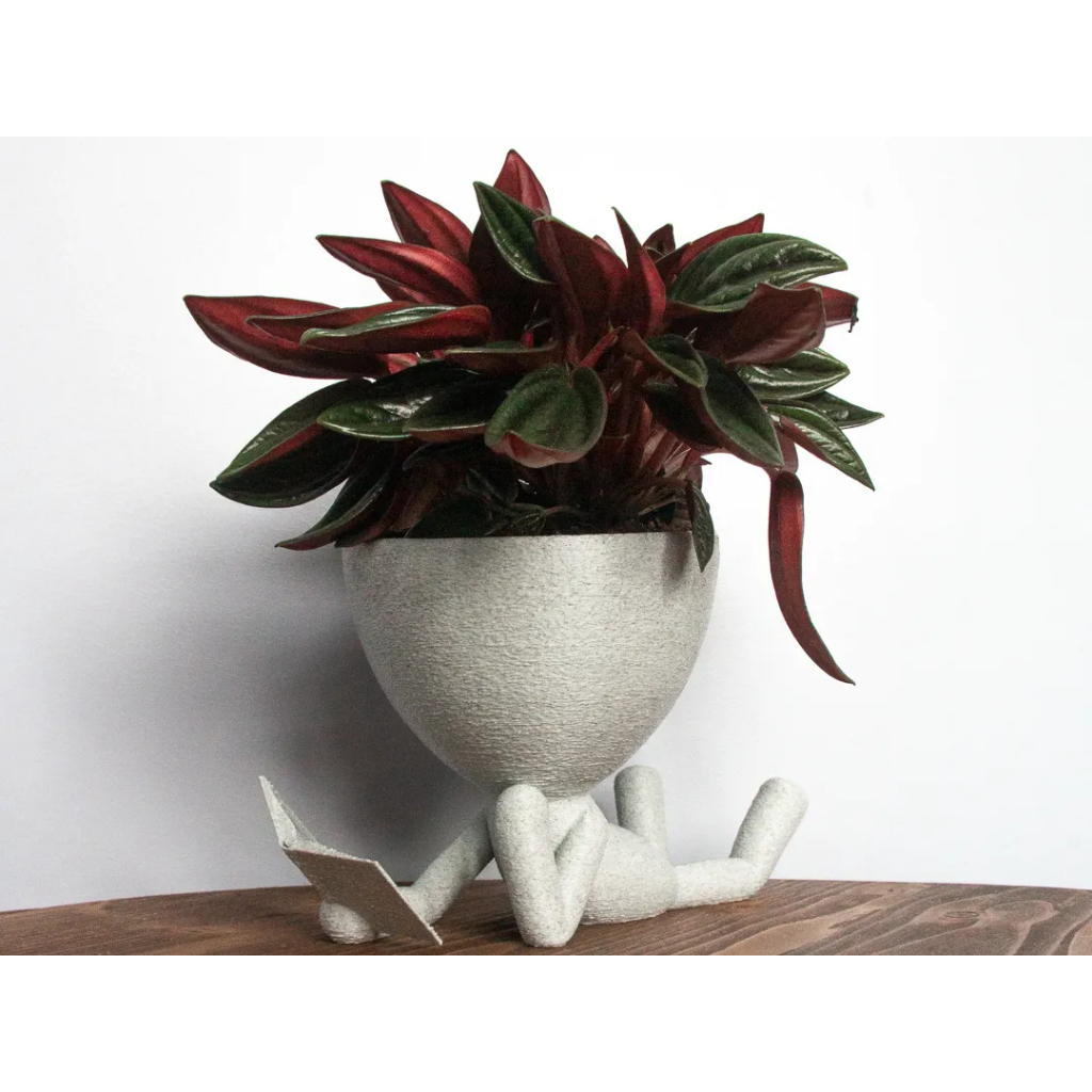 Vaso Roberts - Lendo Livro | Shopee Brasil