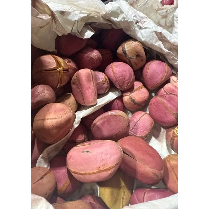 OBI AFRICANO/ OBI ABATA/ OBI 4 GOMOS UMBANDA/CANDOMBLÉ | Shopee Brasil