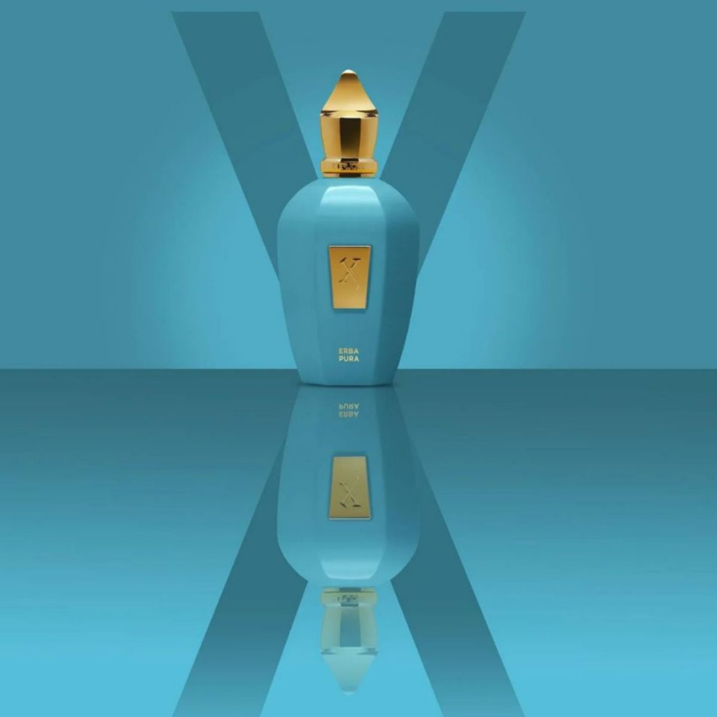Perfume Erba Pura Xerjoff Eau de Parfum Original - 100ml | Shopee Brasil