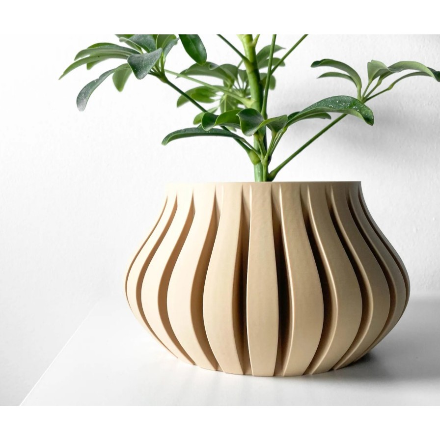Vaso Cachepô Decorativo para Cactos e Suculentas Design Moderno ...