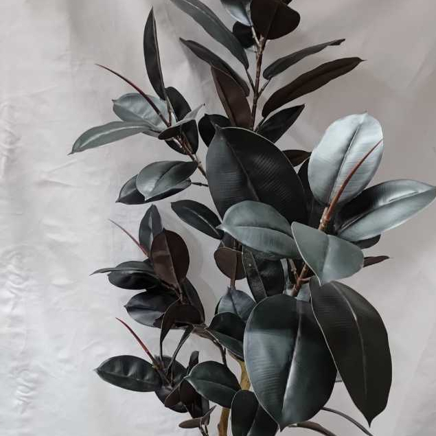 Flor Ficus Elástica Burgundy cc1892 | Shopee Brasil